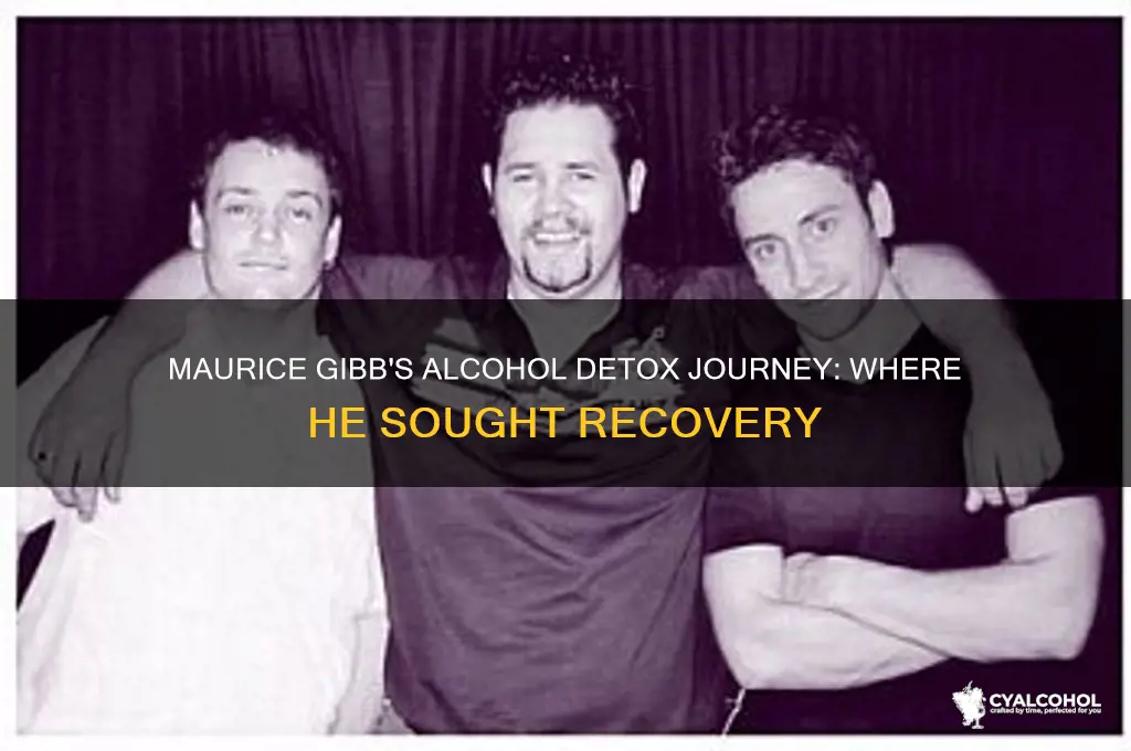 Maurice Gibb's Alcohol Detox Journey: Where He Sought Recovery | CyAlcohol