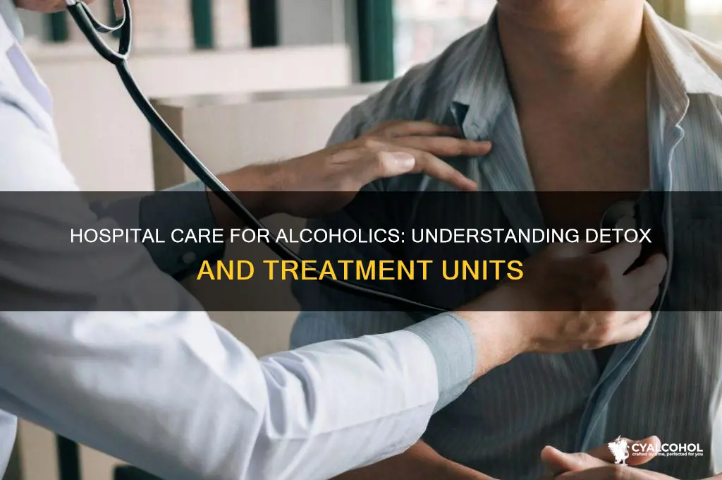 Hospital Care For Alcoholics: Understanding Detox And Treatment Units ...