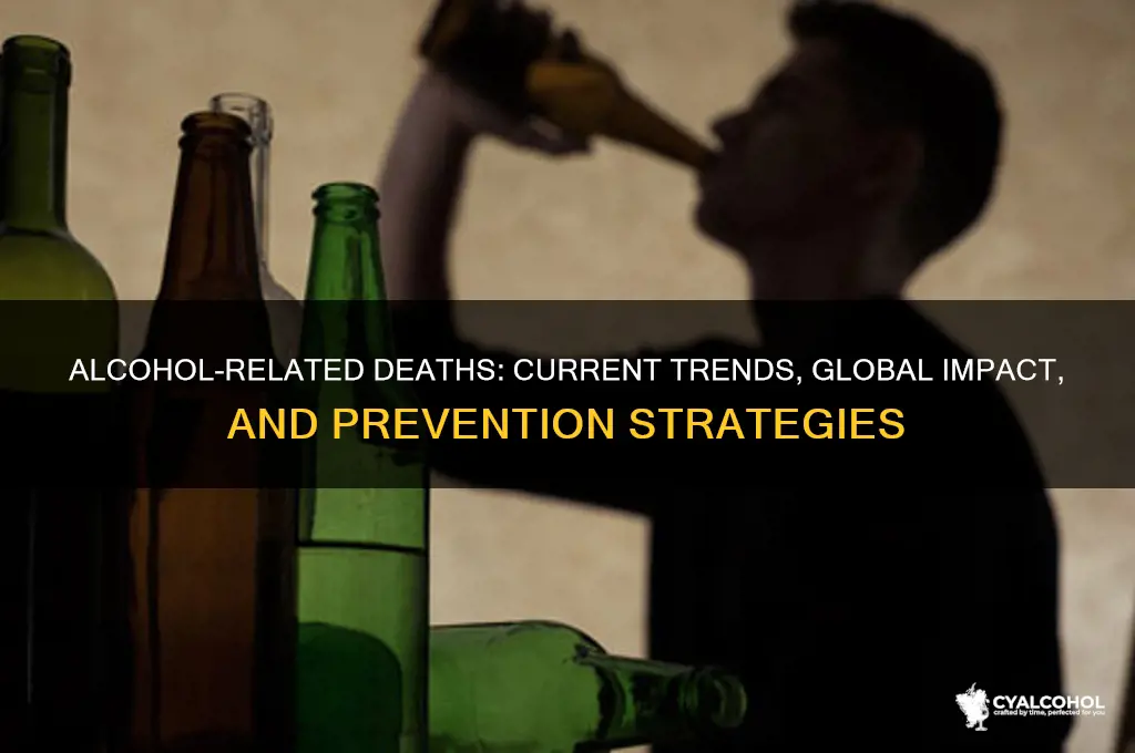 Alcohol-Related Deaths: Current Trends, Global Impact, And Prevention ...