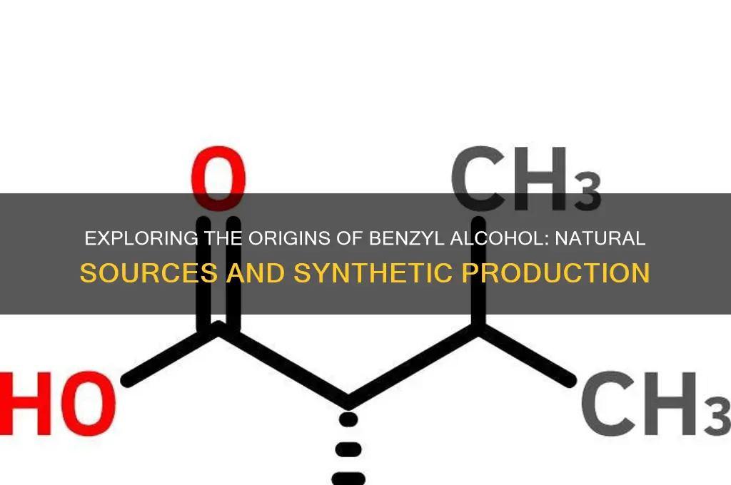 Exploring The Origins Of Benzyl Alcohol: Natural Sources And Synthetic ...