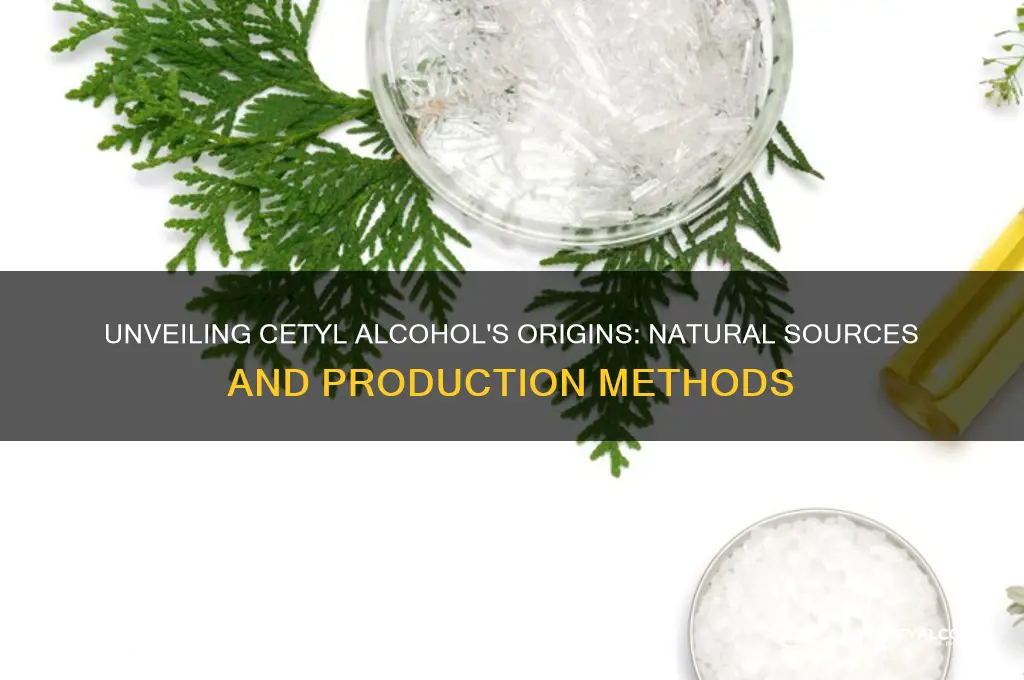 Unveiling Cetyl Alcohol's Origins: Natural Sources And Production ...