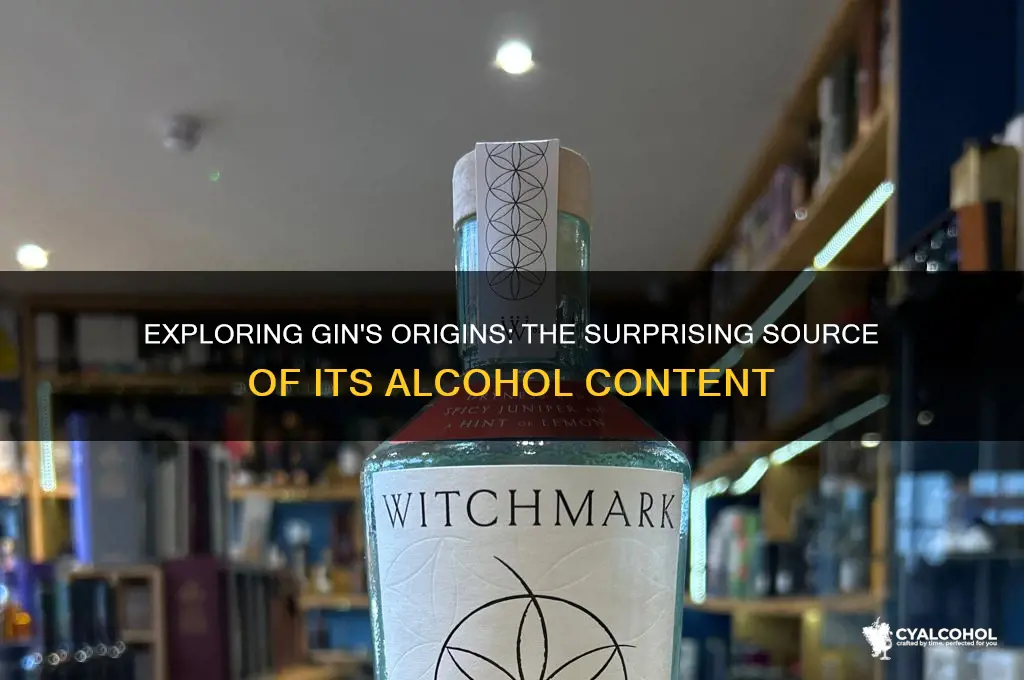 Exploring Gin's Origins: The Surprising Source Of Its Alcohol Content ...