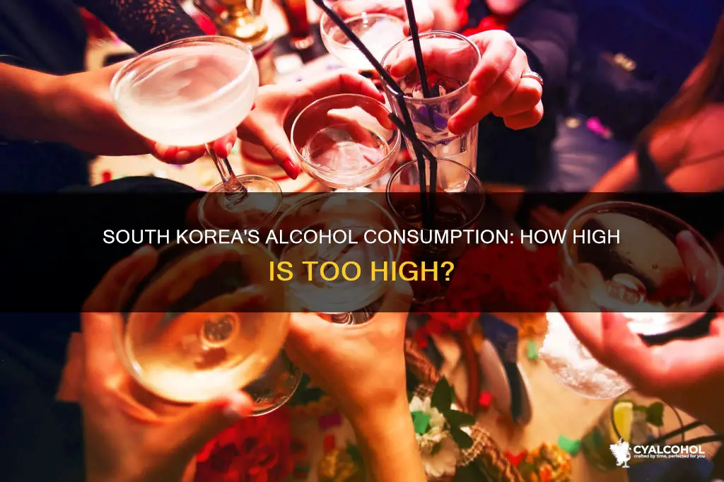 South Korea's Alcohol Consumption: How High Is Too High? | CyAlcohol