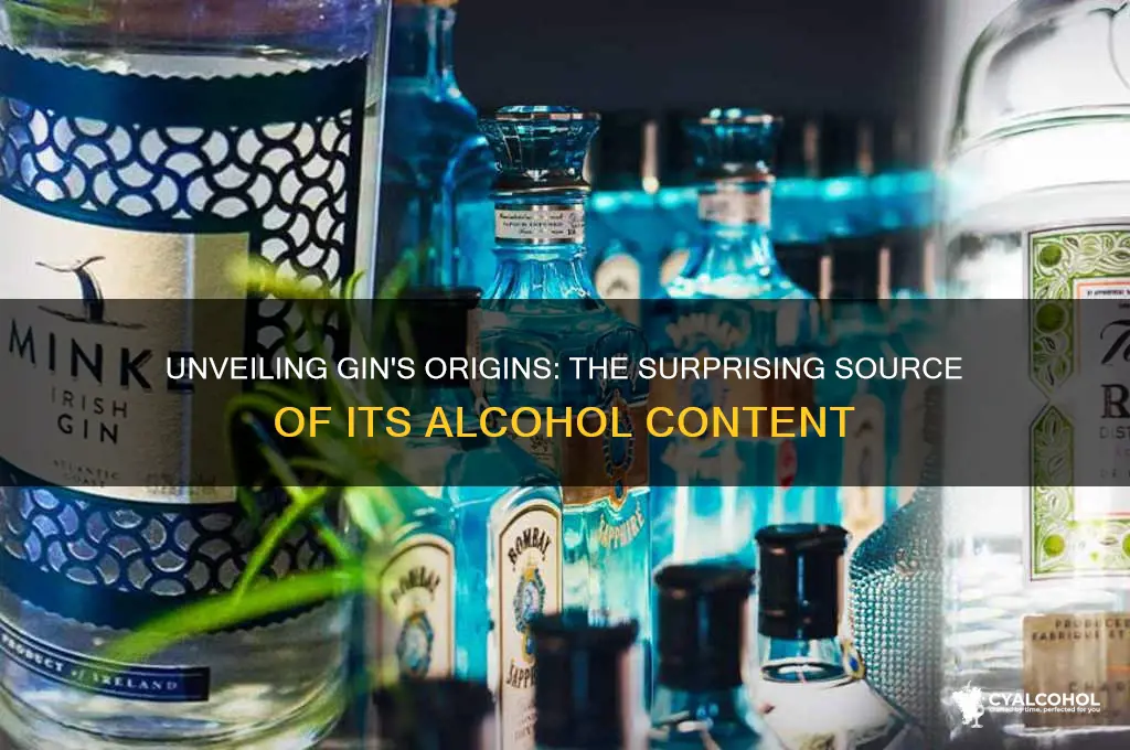 Unveiling Gin's Origins: The Surprising Source Of Its Alcohol Content ...