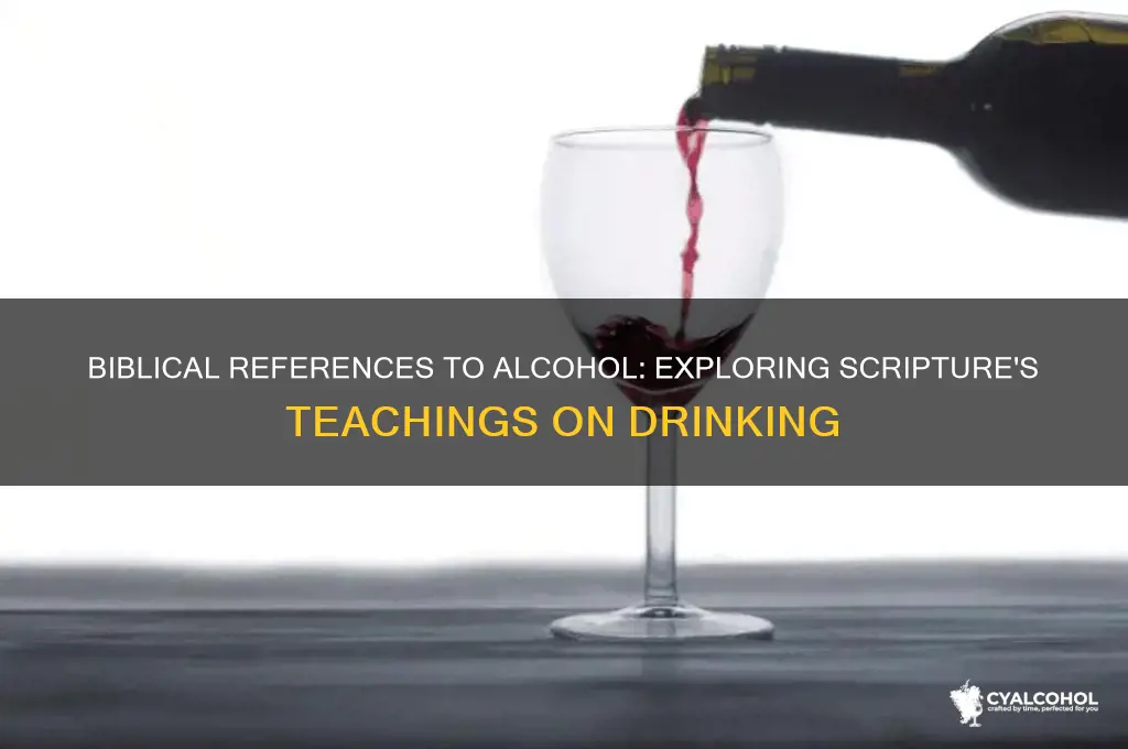 Biblical References To Alcohol: Exploring Scripture's Teachings On ...
