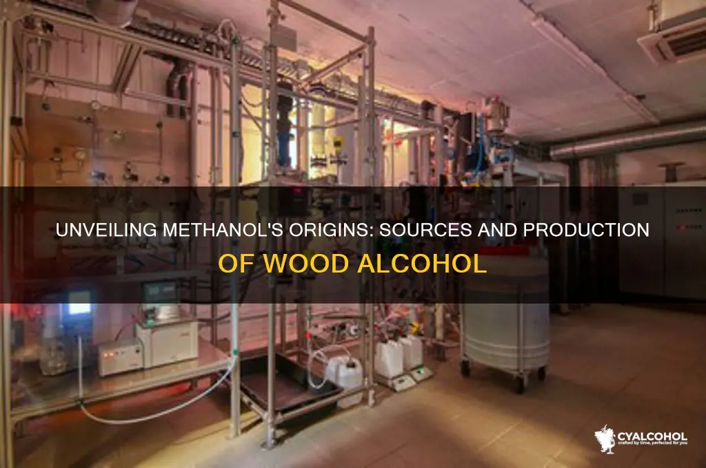 Unveiling Methanol's Origins: Sources And Production Of Wood Alcohol ...