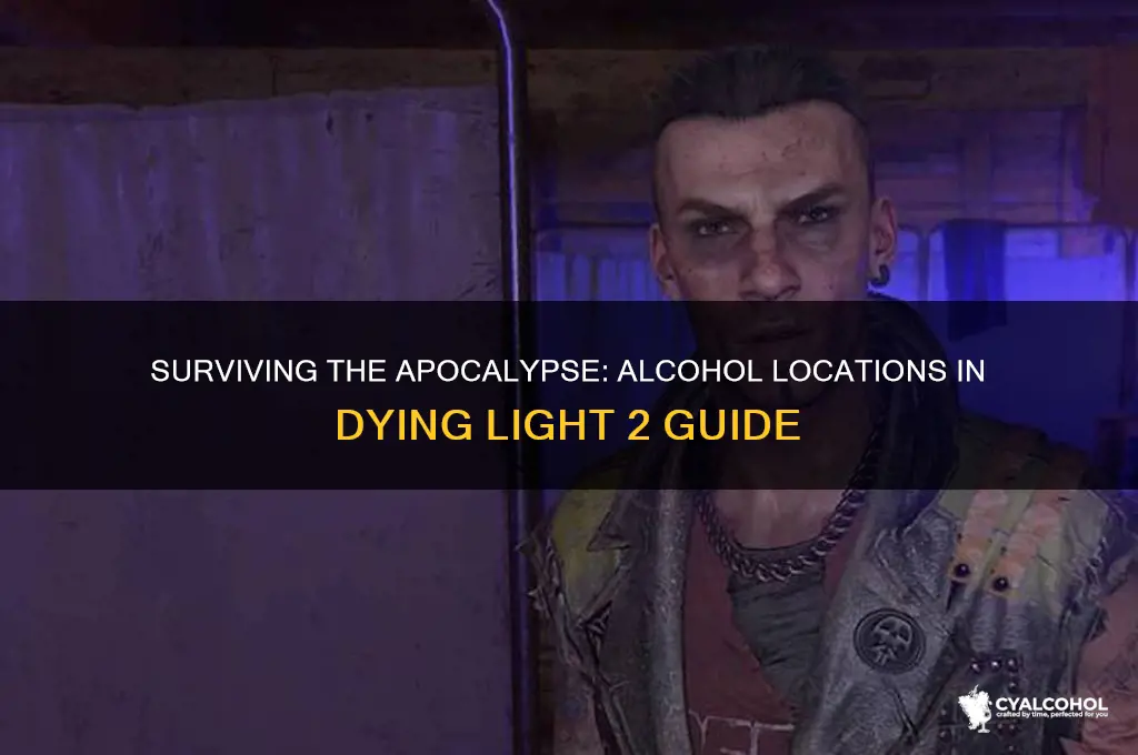 Surviving The Apocalypse: Alcohol Locations In Dying Light 2 Guide ...