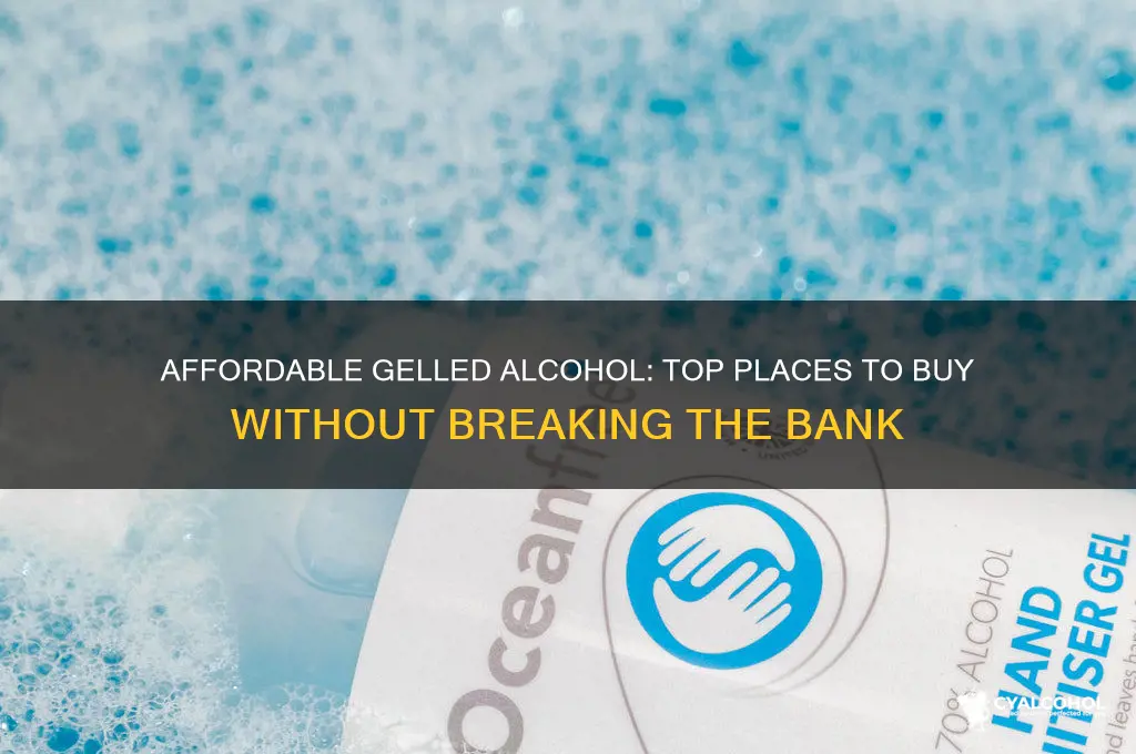 Affordable Gelled Alcohol: Top Places To Buy Without Breaking The Bank ...