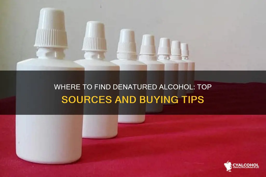 Where To Find Denatured Alcohol: Top Sources And Buying Tips | CyAlcohol