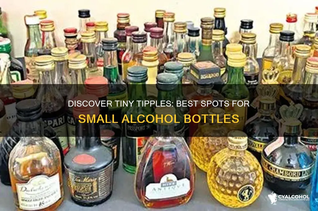 Discover Tiny Tipples: Best Spots For Small Alcohol Bottles | CyAlcohol