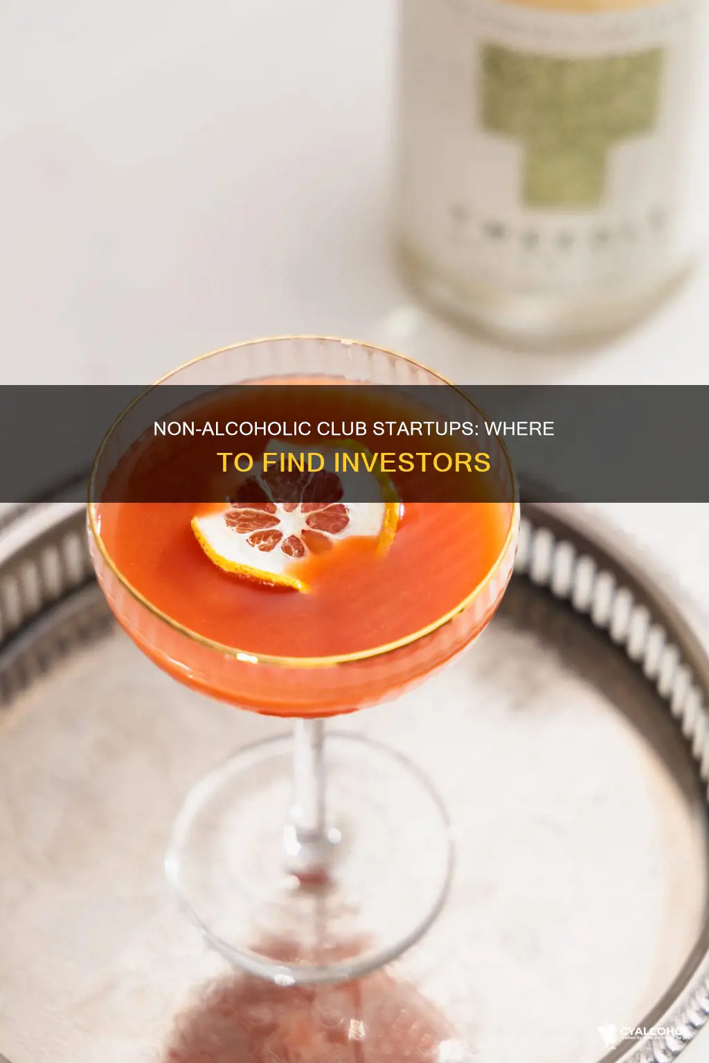 Non-Alcoholic Club Startups: Where To Find Investors | CyAlcohol