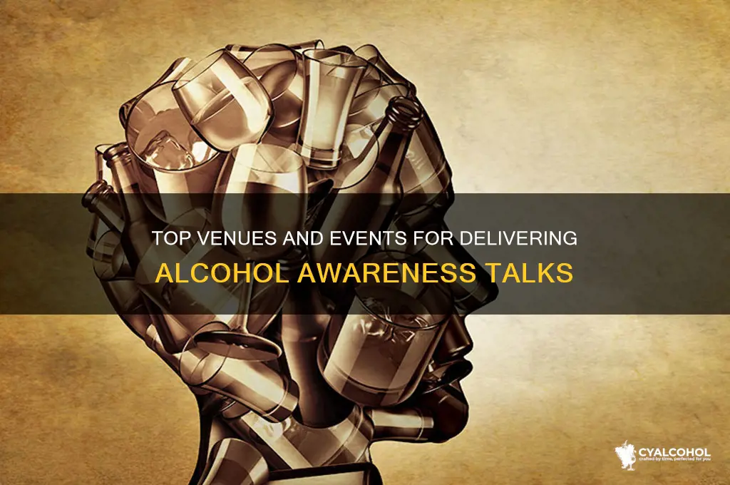 Top Venues And Events For Delivering Alcohol Awareness Talks | CyAlcohol
