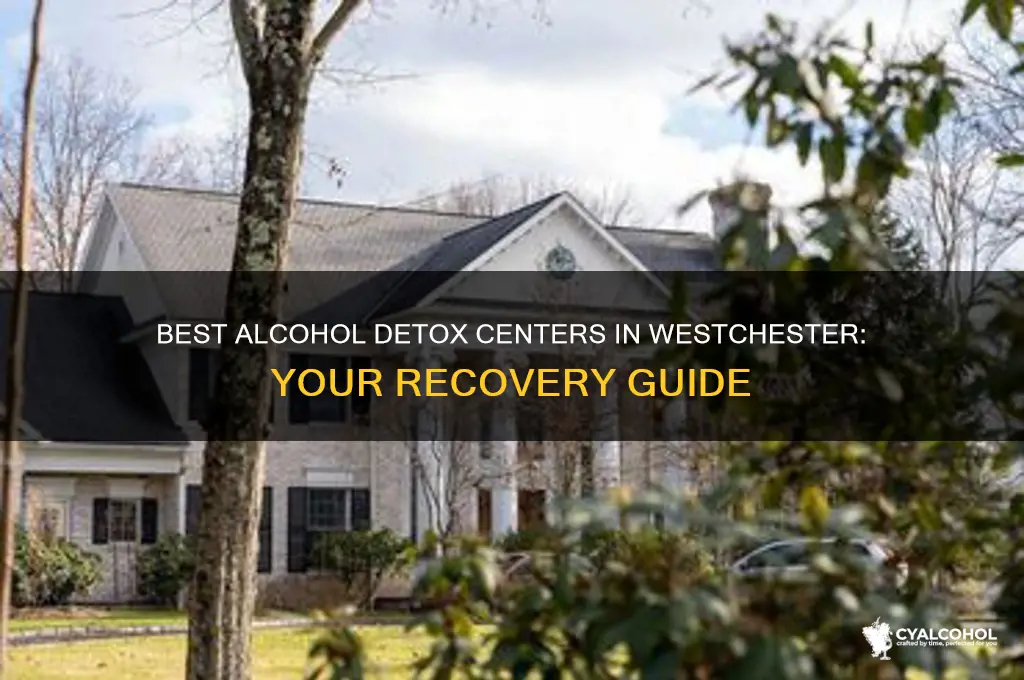 Best Alcohol Detox Centers In Westchester: Your Recovery Guide | CyAlcohol