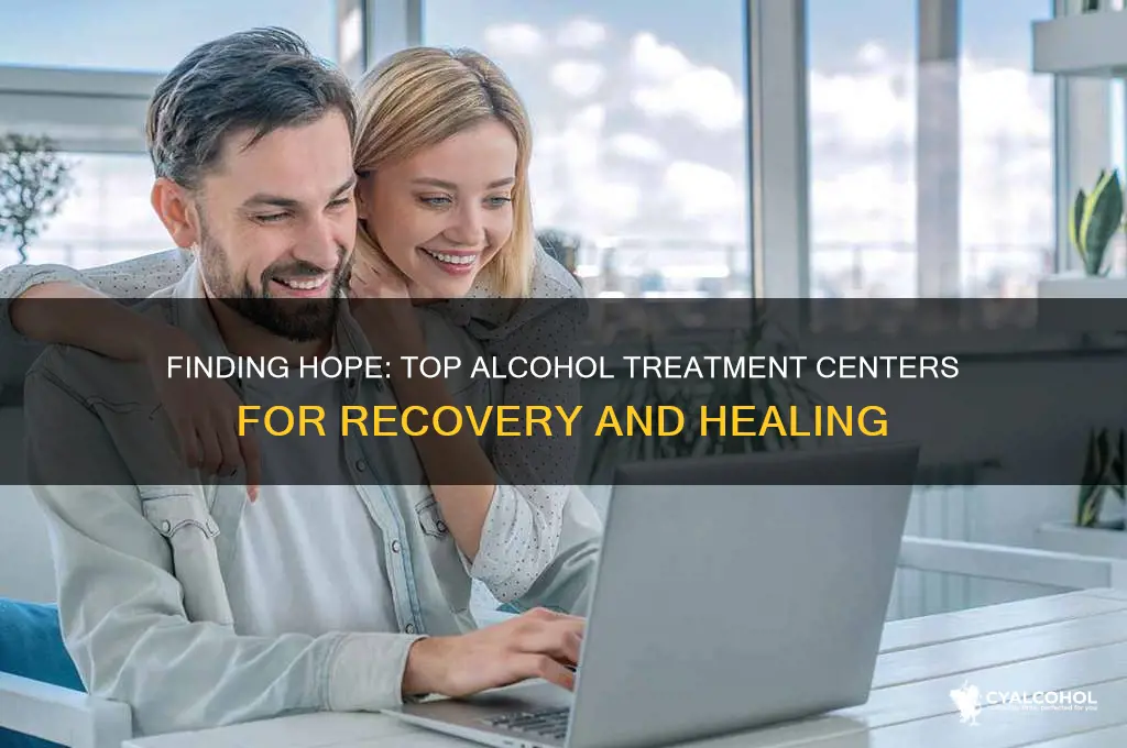 Finding Hope: Top Alcohol Treatment Centers For Recovery And Healing ...