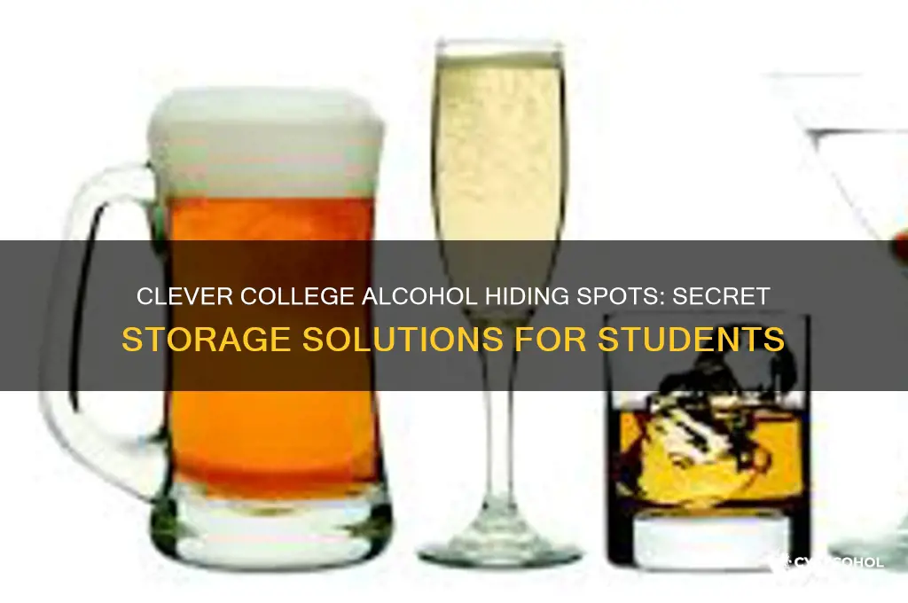 Clever College Alcohol Hiding Spots: Secret Storage Solutions For ...