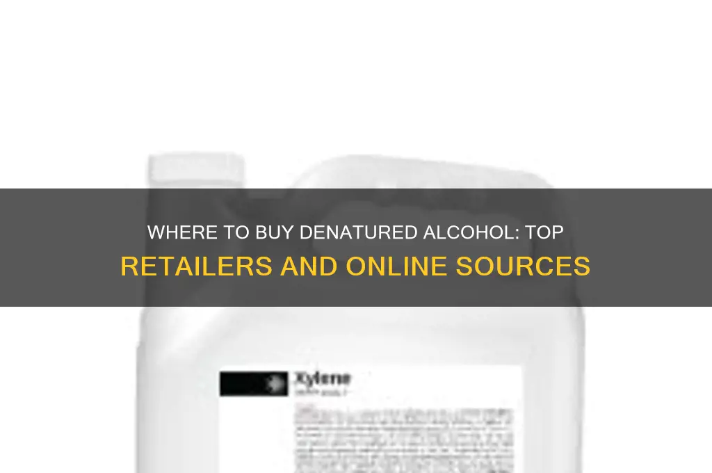 Where To Buy Denatured Alcohol: Top Retailers And Online Sources ...