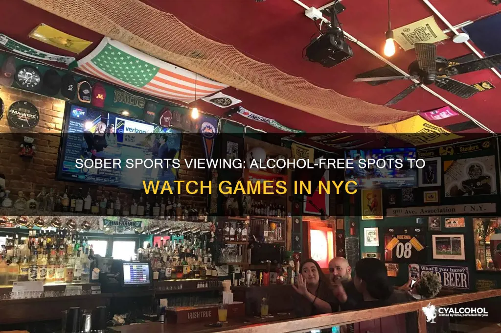 Sober Sports Viewing: Alcohol-Free Spots To Watch Games In Nyc | CyAlcohol