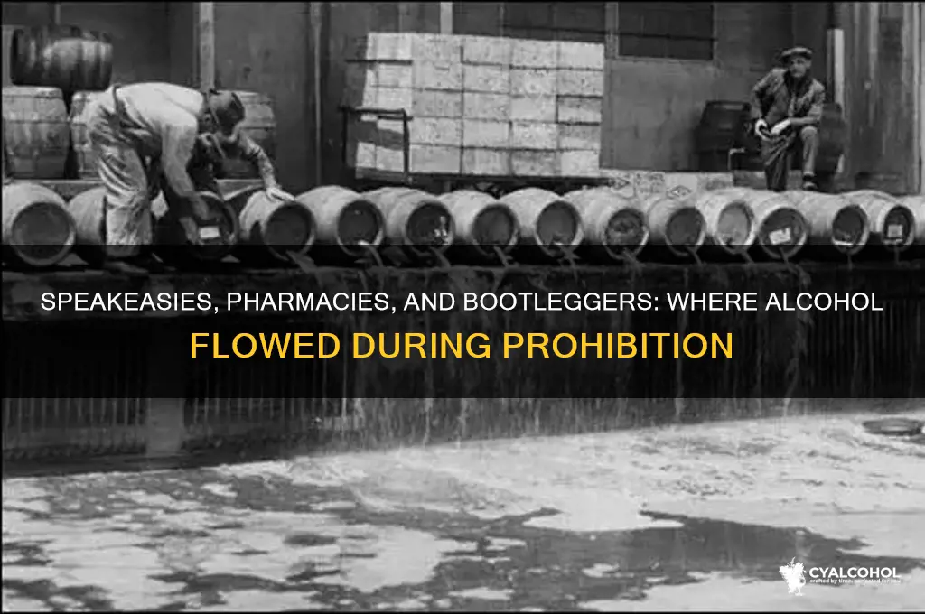 Speakeasies, Pharmacies, And Bootleggers: Where Alcohol Flowed During ...