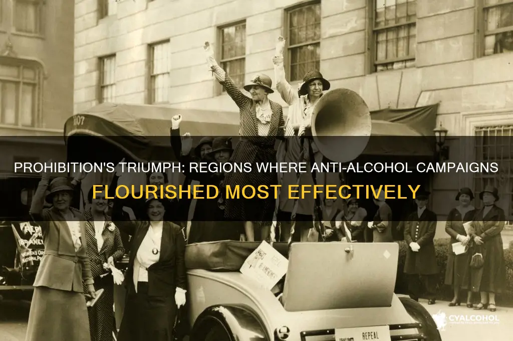 Prohibition's Triumph: Regions Where Anti-Alcohol Campaigns Flourished ...