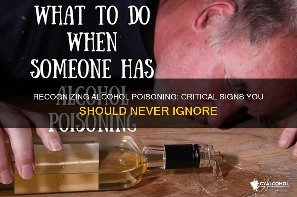 Recognizing Alcohol Poisoning: Critical Signs You Should Never Ignore ...