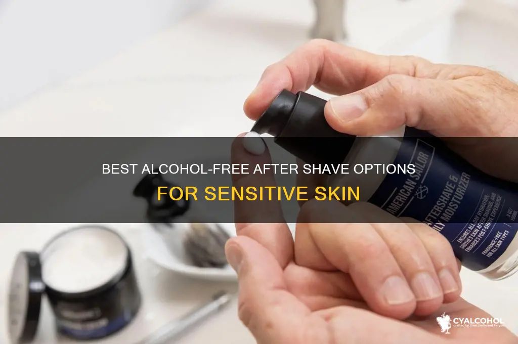 Best Alcohol-Free After Shave Options For Sensitive Skin | CyAlcohol