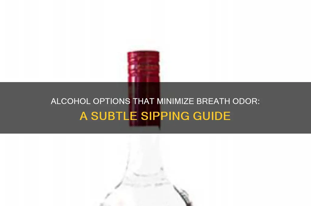 Alcohol Options That Minimize Breath Odor: A Subtle Sipping Guide ...