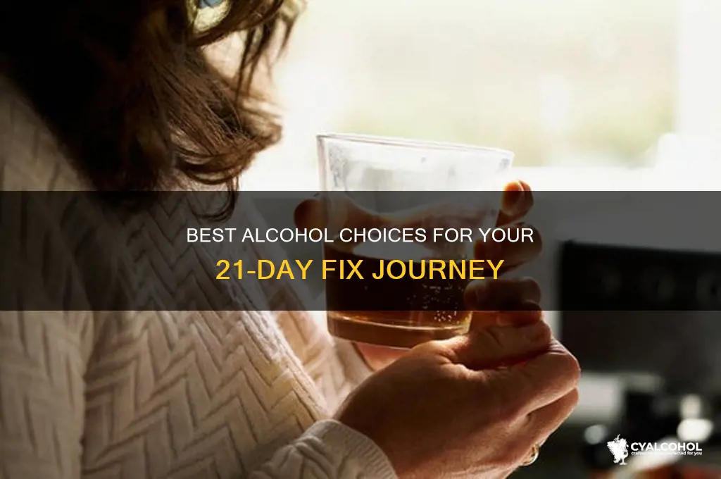 Best Alcohol Choices For Your 21-Day Fix Journey | CyAlcohol