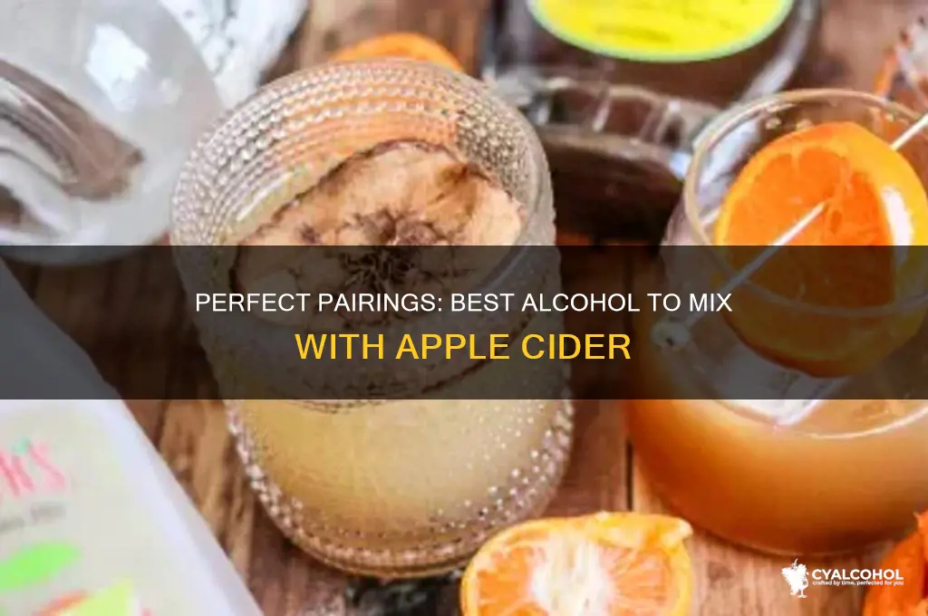 Perfect Pairings: Best Alcohol To Mix With Apple Cider | CyAlcohol