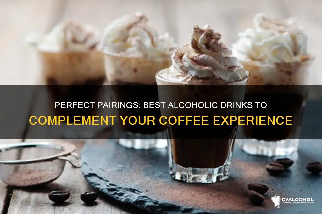Perfect Pairings: Best Alcoholic Drinks To Complement Your Coffee ...