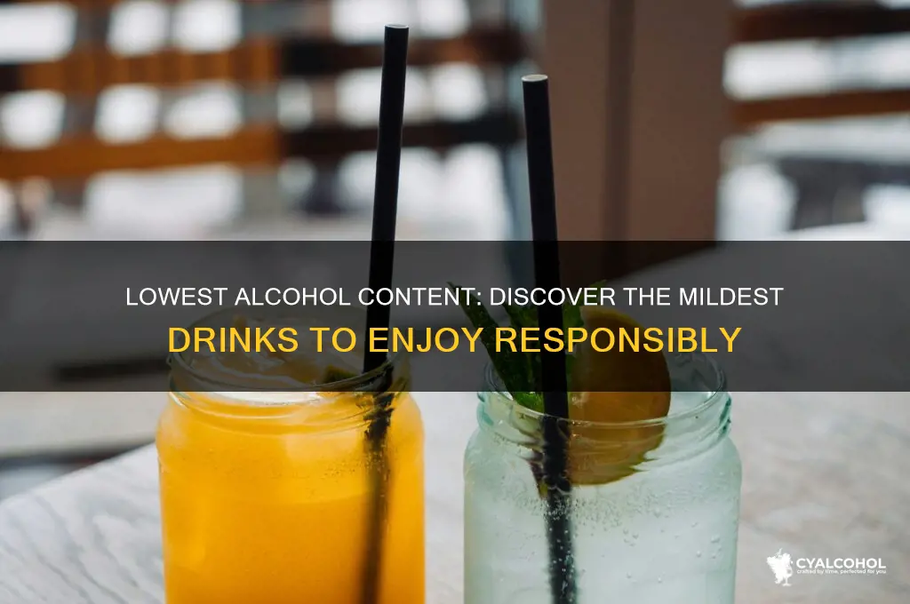 Lowest Alcohol Content: Discover The Mildest Drinks To Enjoy ...