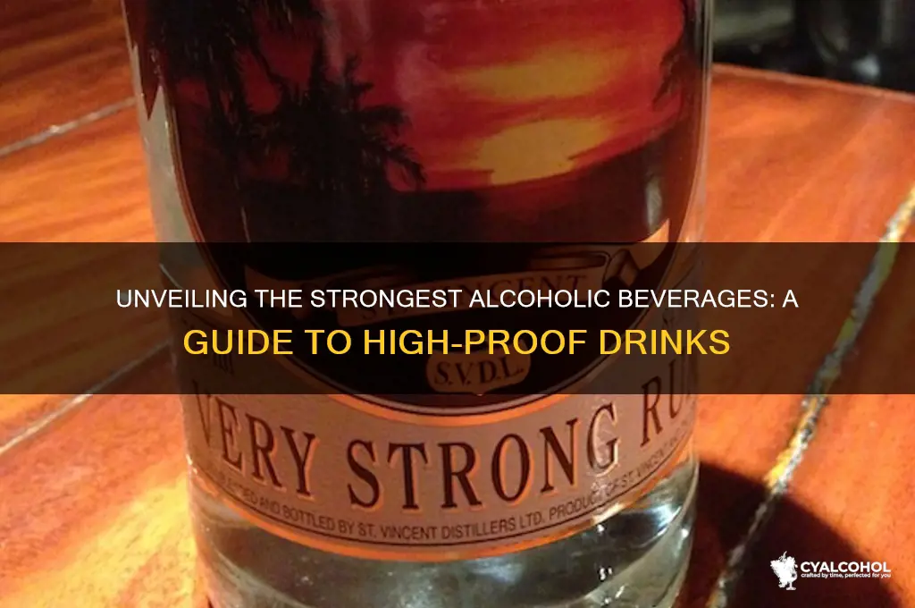 Unveiling The Strongest Alcoholic Beverages: A Guide To High-Proof ...
