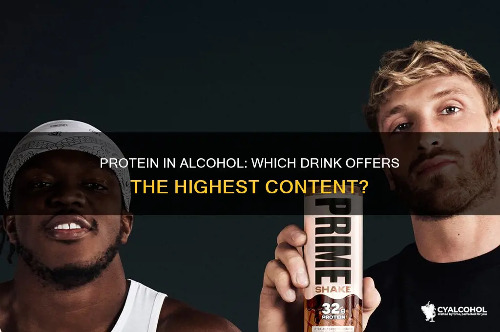 Protein In Alcohol: Which Drink Offers The Highest Content? | CyAlcohol
