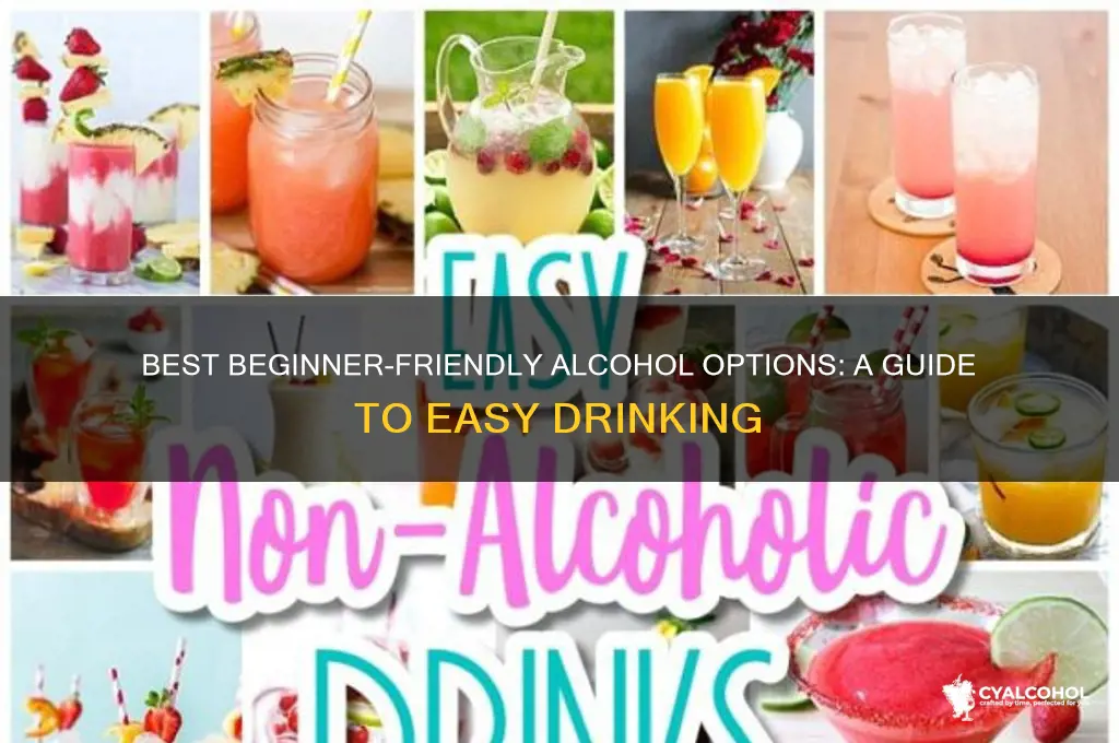 Best Beginner-Friendly Alcohol Options: A Guide To Easy Drinking ...