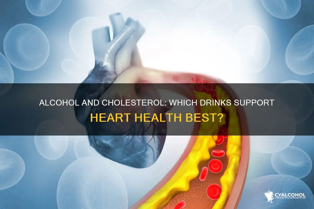 Alcohol And Cholesterol: Which Drinks Support Heart Health Best ...