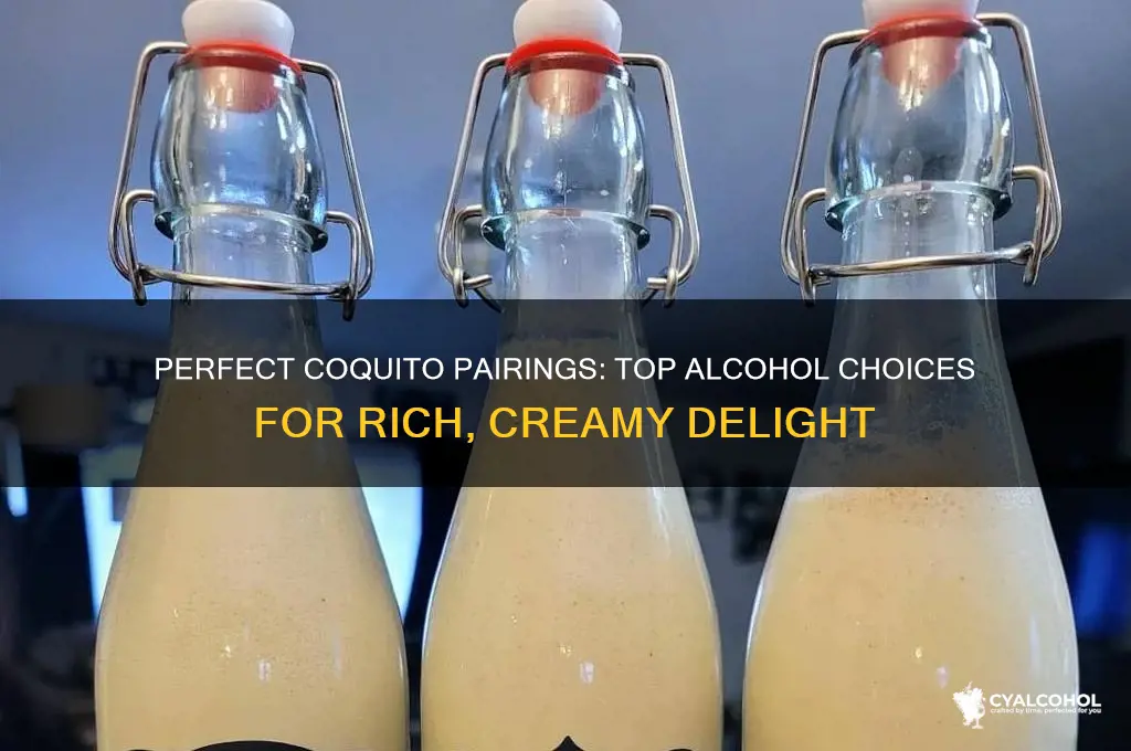 Perfect Coquito Pairings: Top Alcohol Choices For Rich, Creamy Delight ...