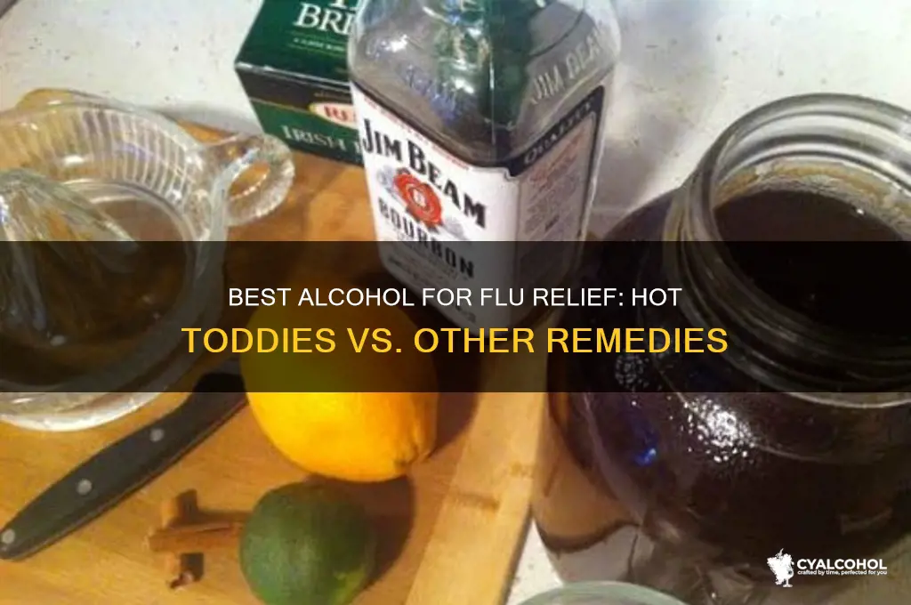 Best Alcohol For Flu Relief: Hot Toddies Vs. Other Remedies | CyAlcohol