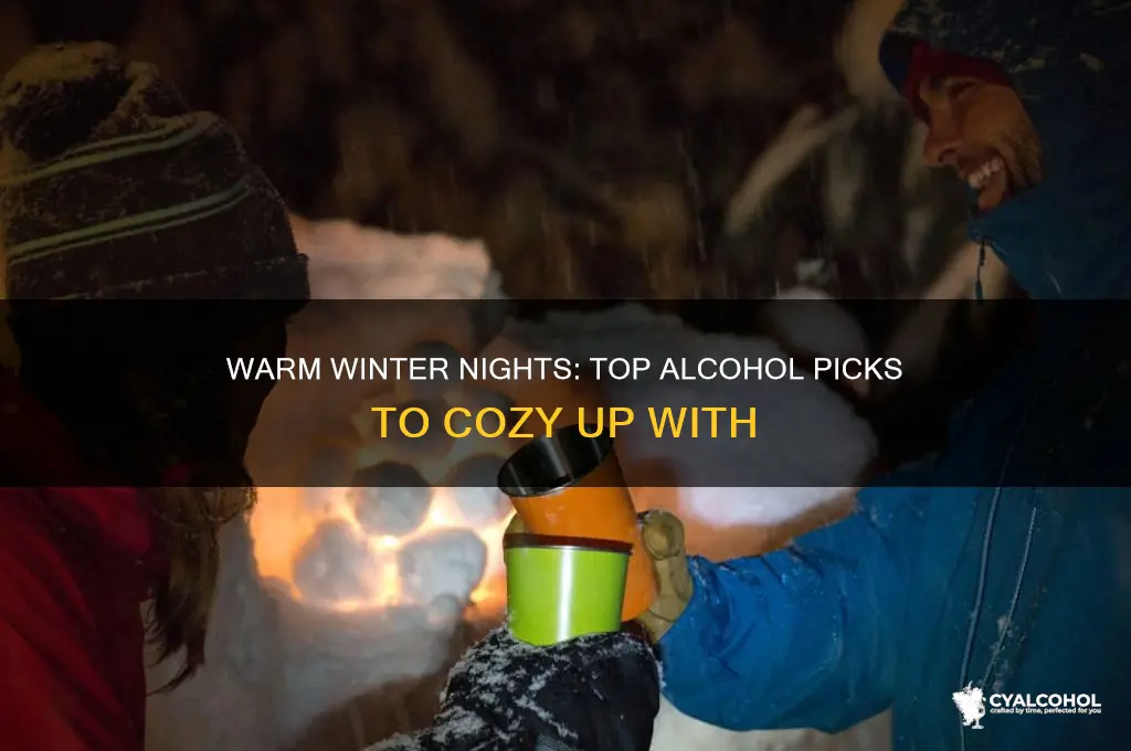 Warm Winter Nights: Top Alcohol Picks To Cozy Up With | CyAlcohol