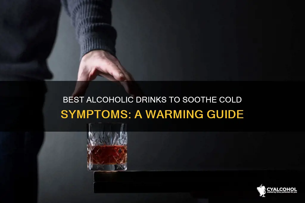 Best Alcoholic Drinks To Soothe Cold Symptoms: A Warming Guide | CyAlcohol