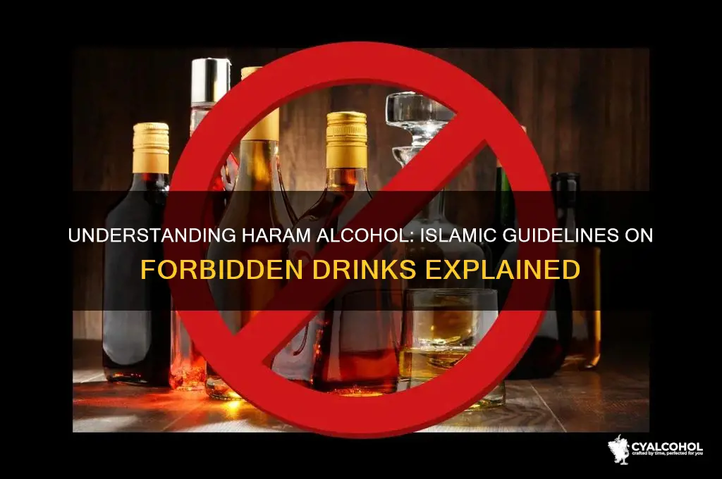 Understanding Haram Alcohol: Islamic Guidelines On Forbidden Drinks ...