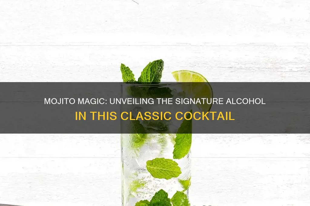 Mojito Magic: Unveiling The Signature Alcohol In This Classic Cocktail ...