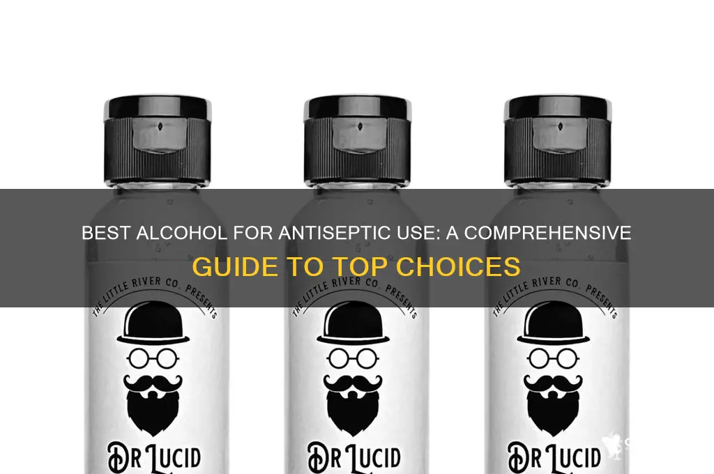 Best Alcohol For Antiseptic Use: A Comprehensive Guide To Top Choices ...