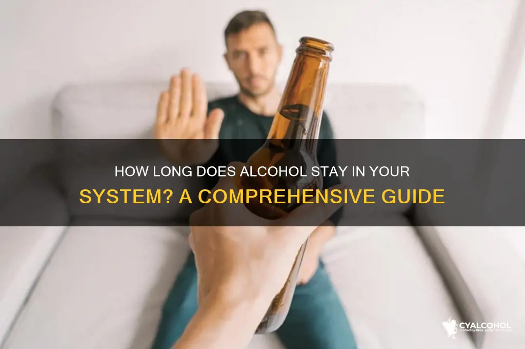 How Long Does Alcohol Stay In Your System? A Comprehensive Guide ...