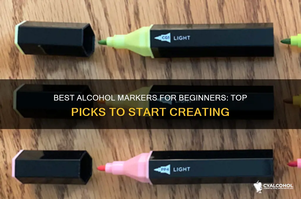 Best Alcohol Markers For Beginners: Top Picks To Start Creating | CyAlcohol