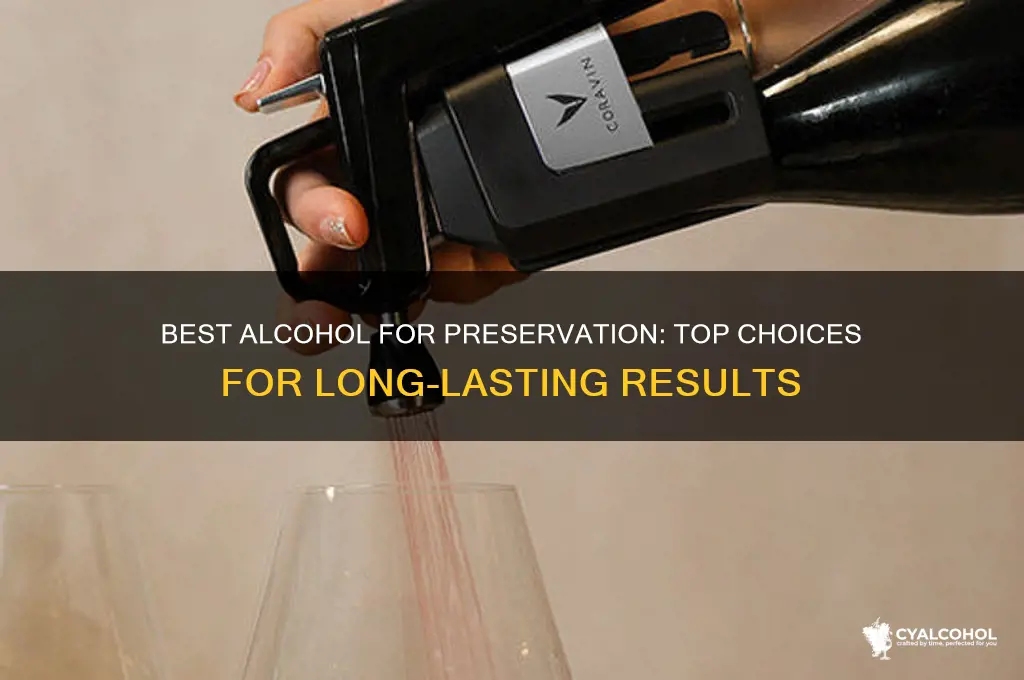 Best Alcohol For Preservation: Top Choices For Long-Lasting Results ...