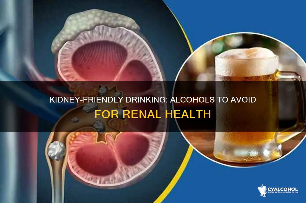 Kidney-Friendly Drinking: Alcohols To Avoid For Renal Health | CyAlcohol