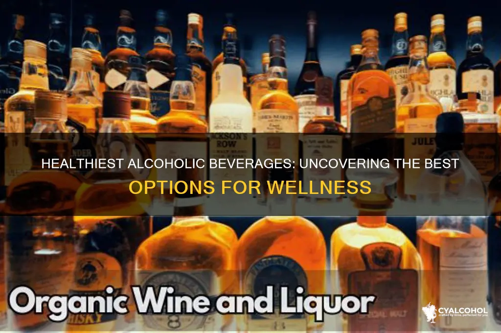 Healthiest Alcoholic Beverages: Uncovering The Best Options For ...