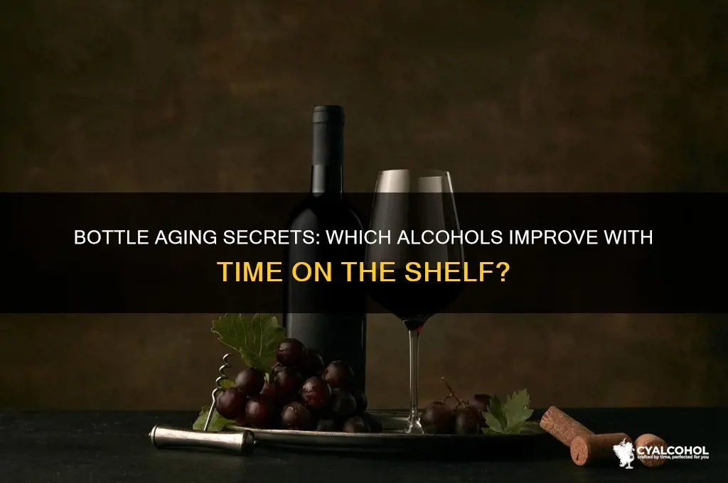 Bottle Aging Secrets: Which Alcohols Improve With Time On The Shelf ...