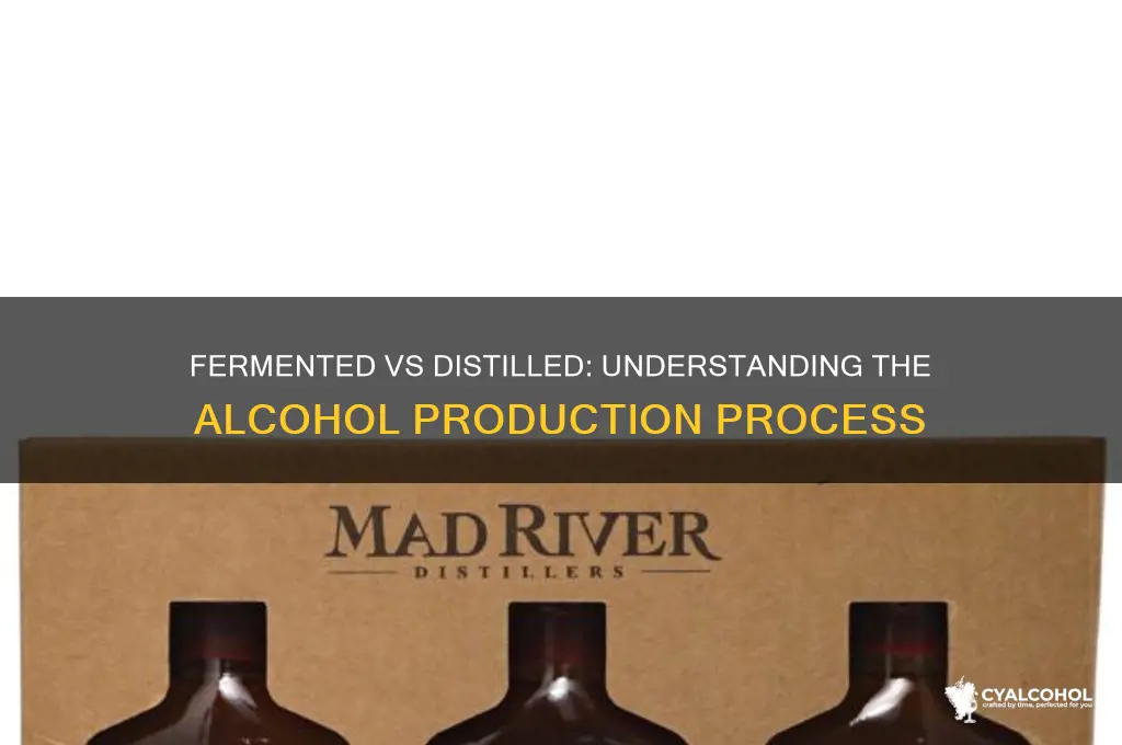 Fermented Vs Distilled: Understanding The Alcohol Production Process ...