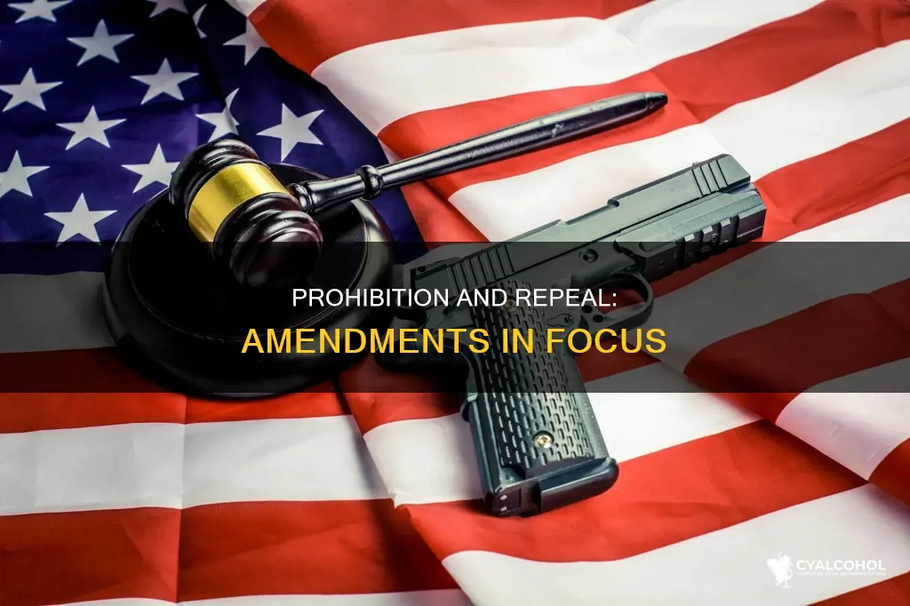 Prohibition And Repeal: Amendments In Focus | CyAlcohol
