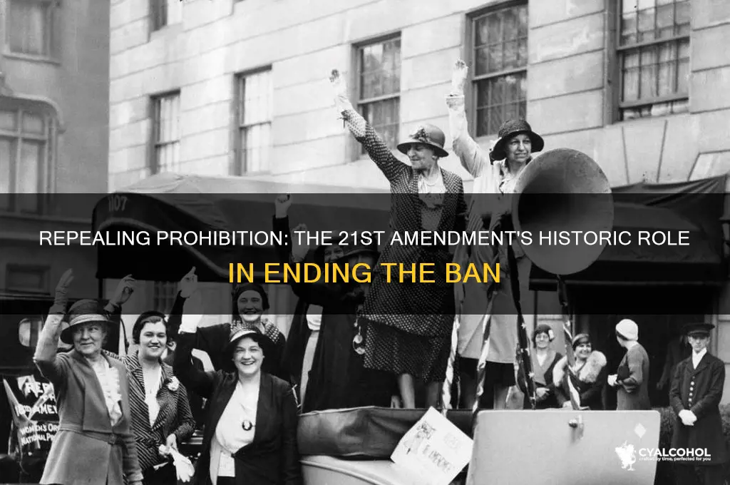 Repealing Prohibition: The 21St Amendment's Historic Role In Ending The ...